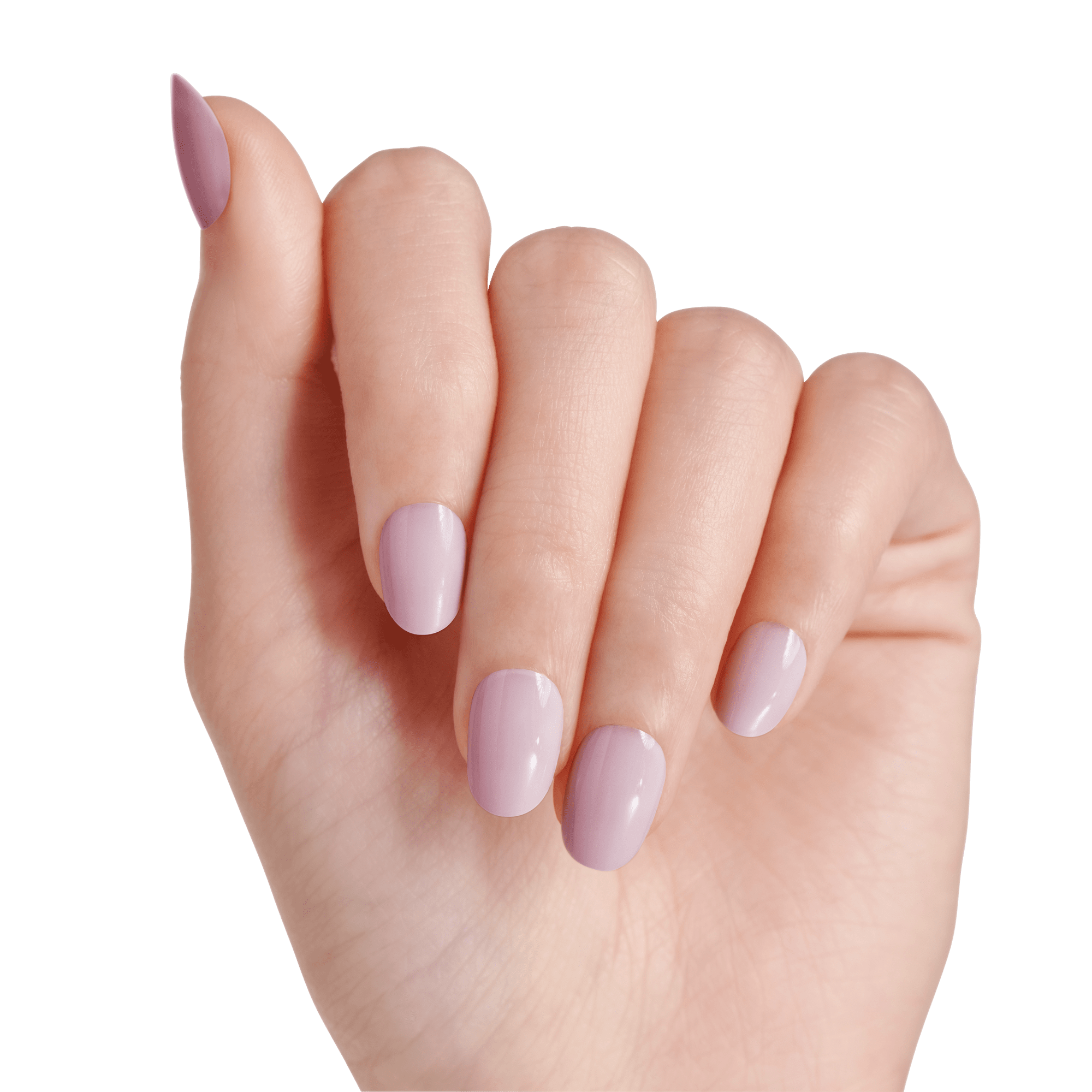 Afternoon Tea – Astra&Jewelry®